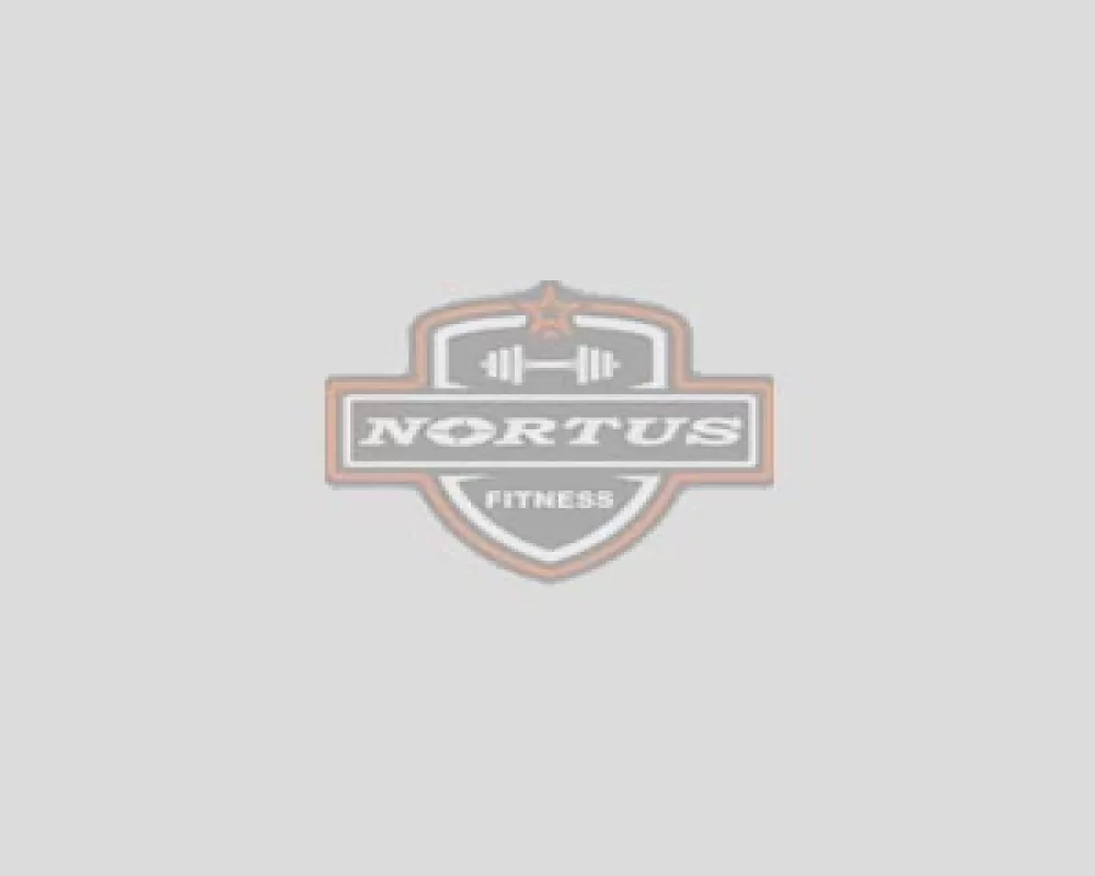 Best Commercial Treadmill Suppliers & Manufacturer in India - Nortus ...